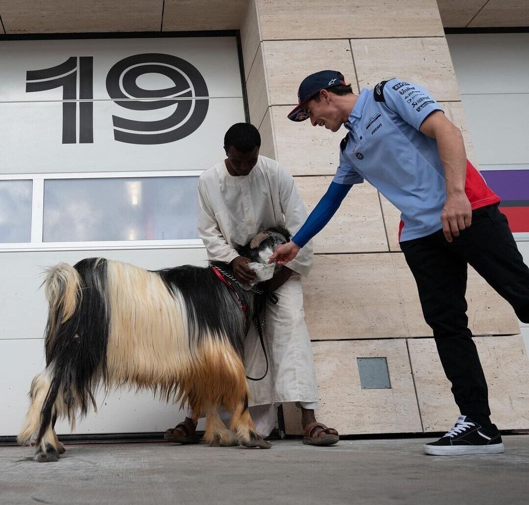 MotoGP, quando un GOAT incontra un… “goat”