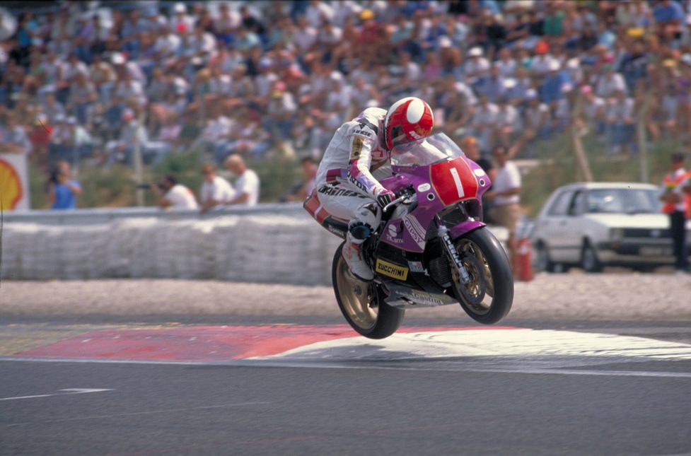 Che fine ha fatto: Fred Merkel